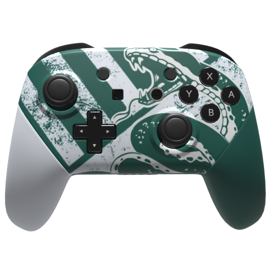 Slytherin – Nintendo Switch Pro – Custom Controller – Controller Chaos