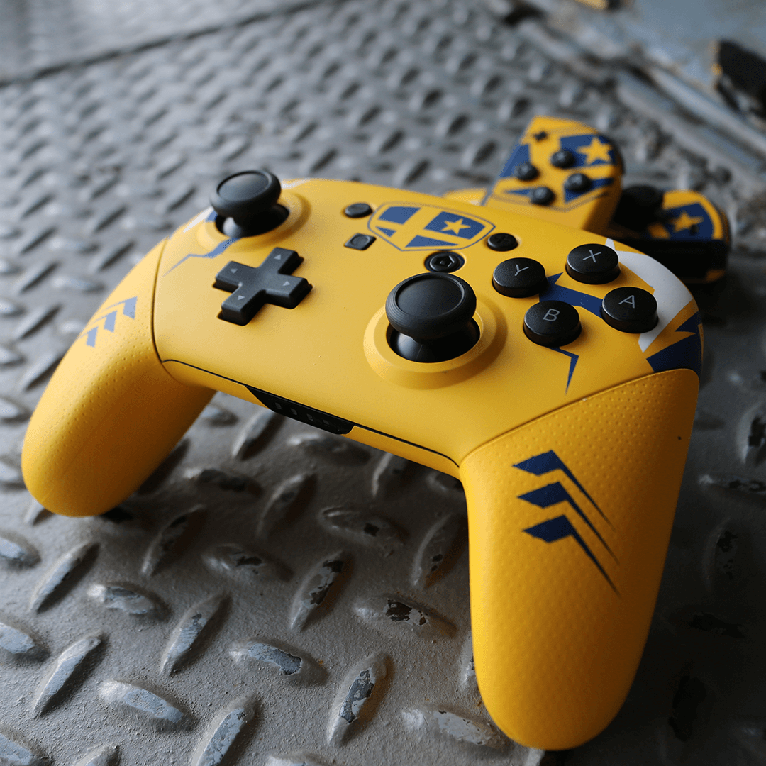 The Big House 2018 – Switch Pro – Custom Controller – Controller Chaos