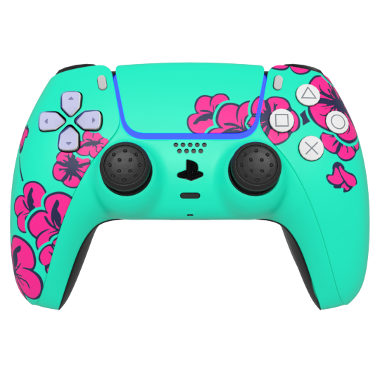 Arizona Sad Boy – PS5 – Custom E Sports Controller | Controller Chaos