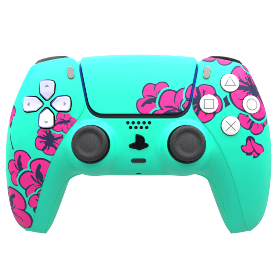 Arizona Sad Boy – PS5 – Custom Controller | Controller Chaos