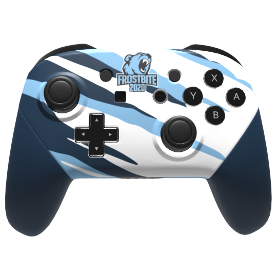 Frostbite 2020 – Switch Pro – Custom Controller | Controller Chaos