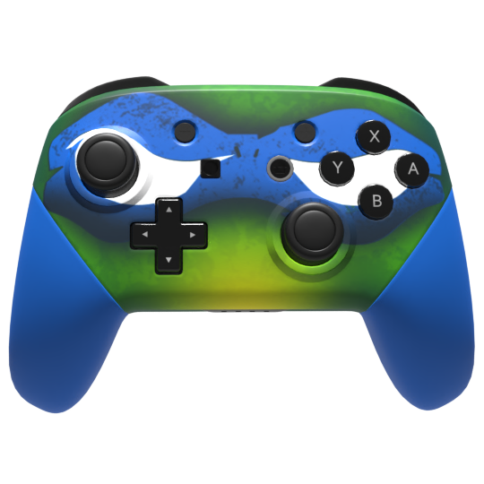 Turtle Power Leo – Switch Pro – Custom Controller | Controller Chaos
