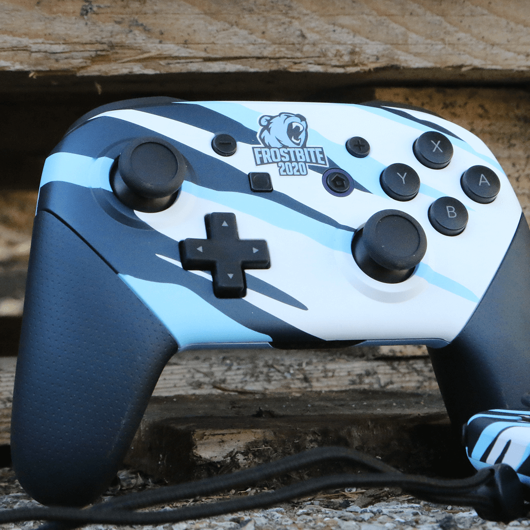 Frostbite 2020 – Switch Pro – Custom Controller | Controller Chaos